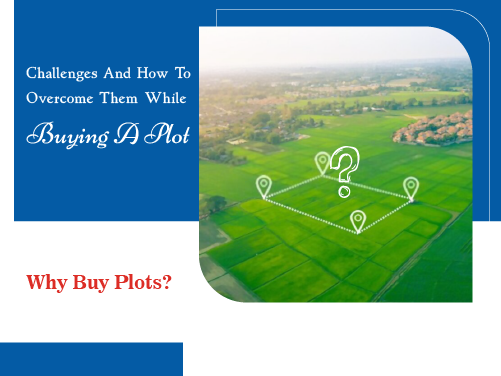 Challenges and how to overcome them while buying a plot